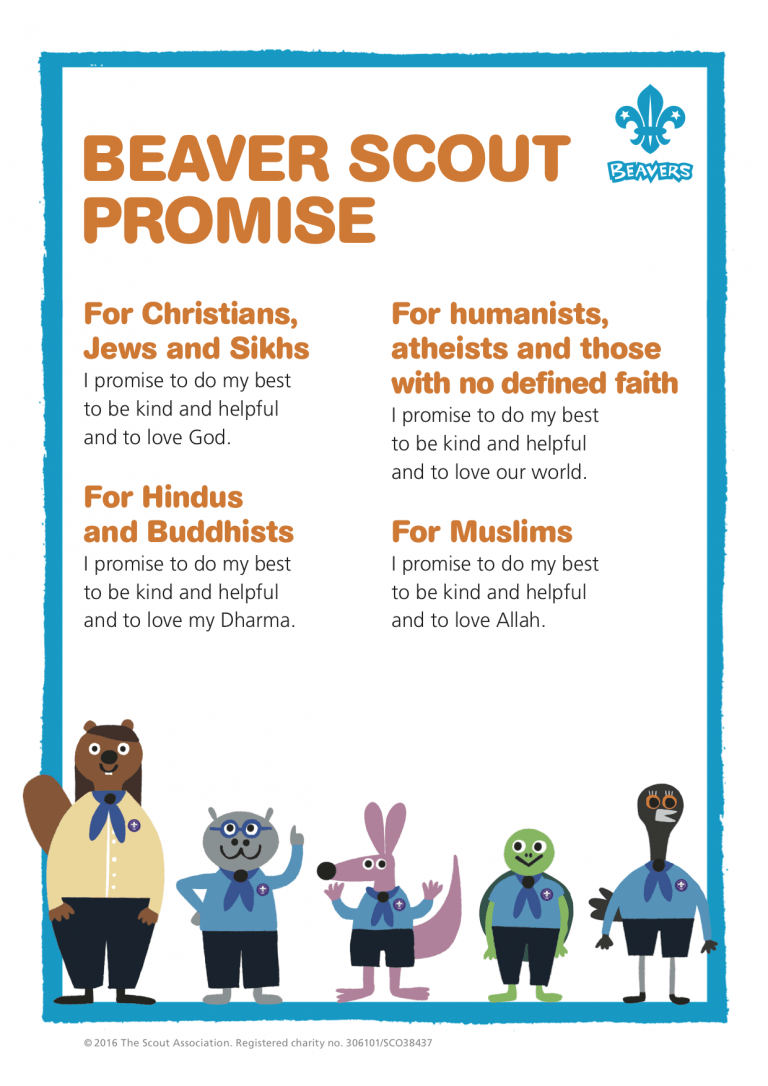 10th Chingford Scout Group - Members