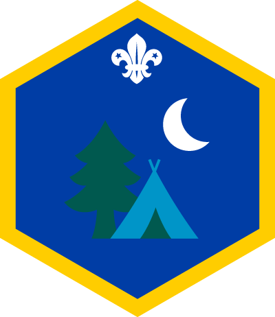 10th Chingford Scout Group - Scout, Cub and Beaver badge requirements