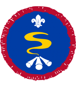 10th Chingford Scout Group - Scout, Cub and Beaver badge requirements